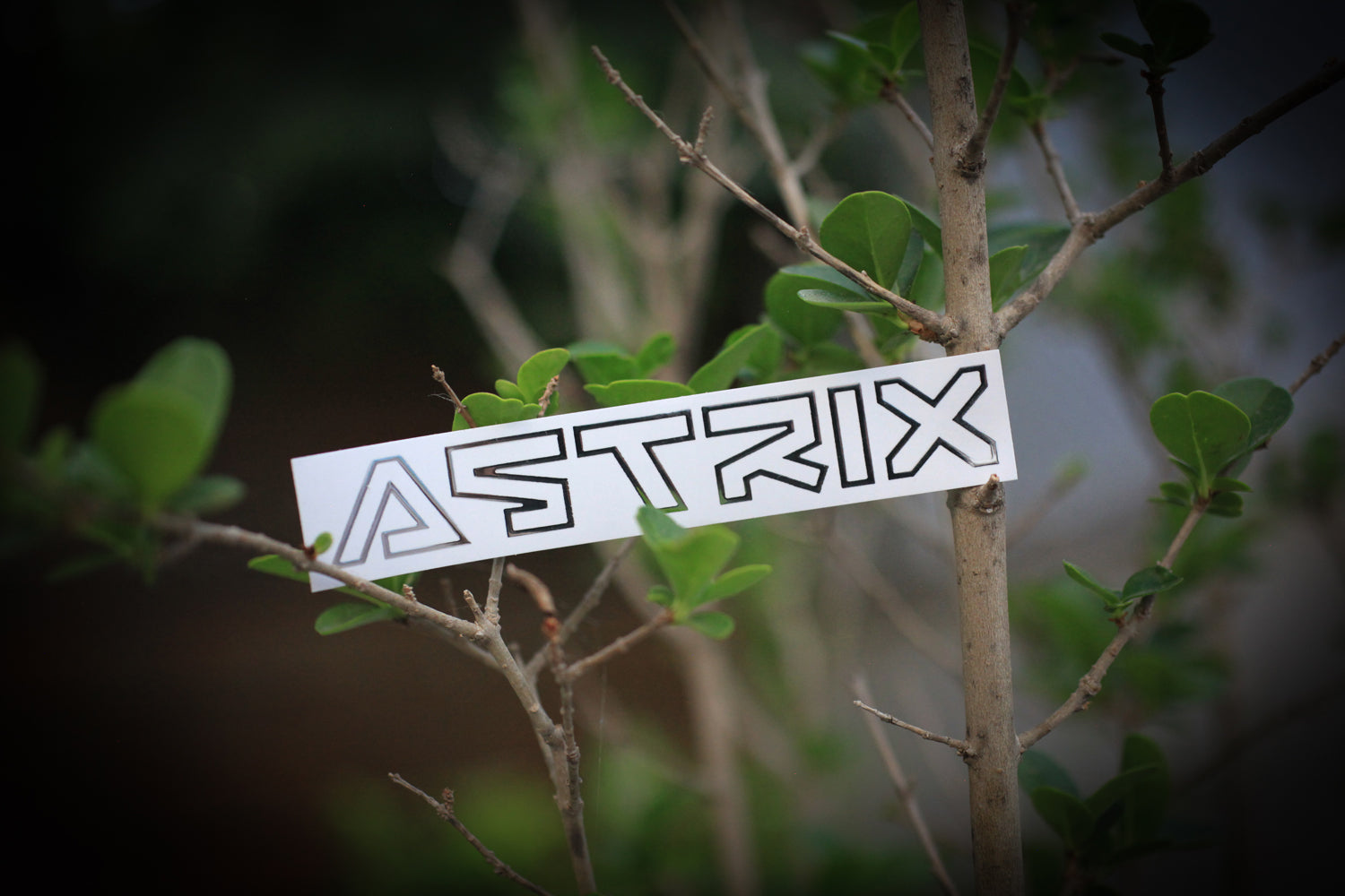 Dj Astrix Logo